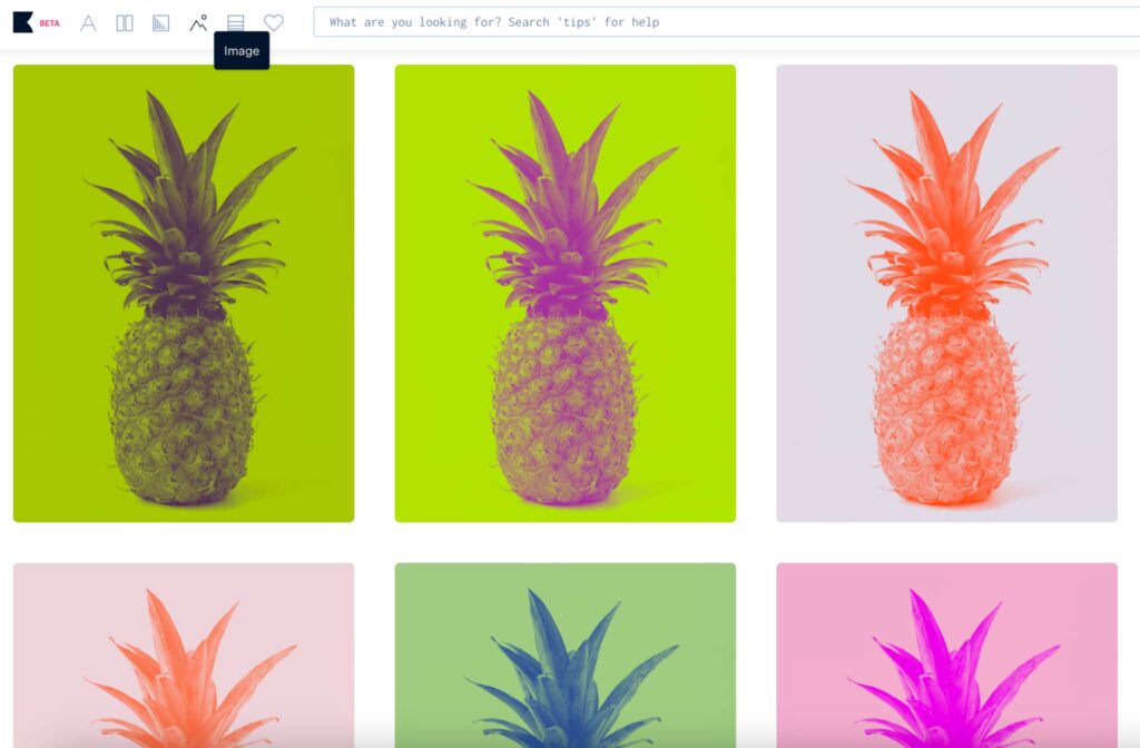 Khroma: The Best AI Design Tool Guide