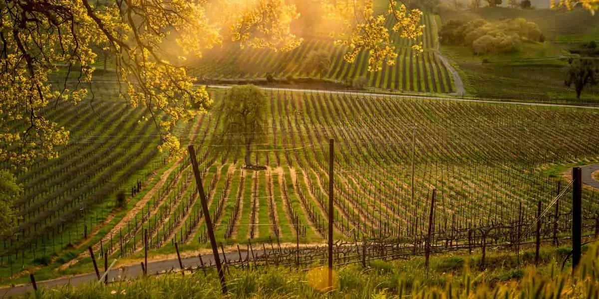 12 Great Machine Learning Projects to Get You Started in AI